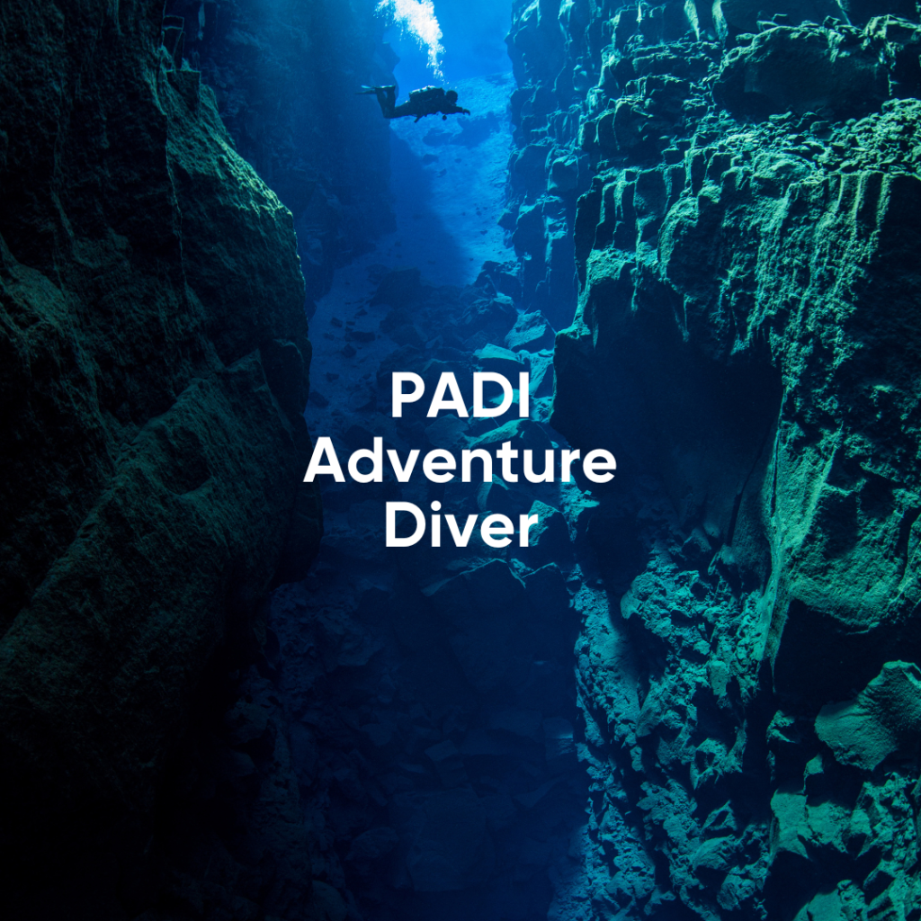 Adventure Diver – Reef2000 Dive Club